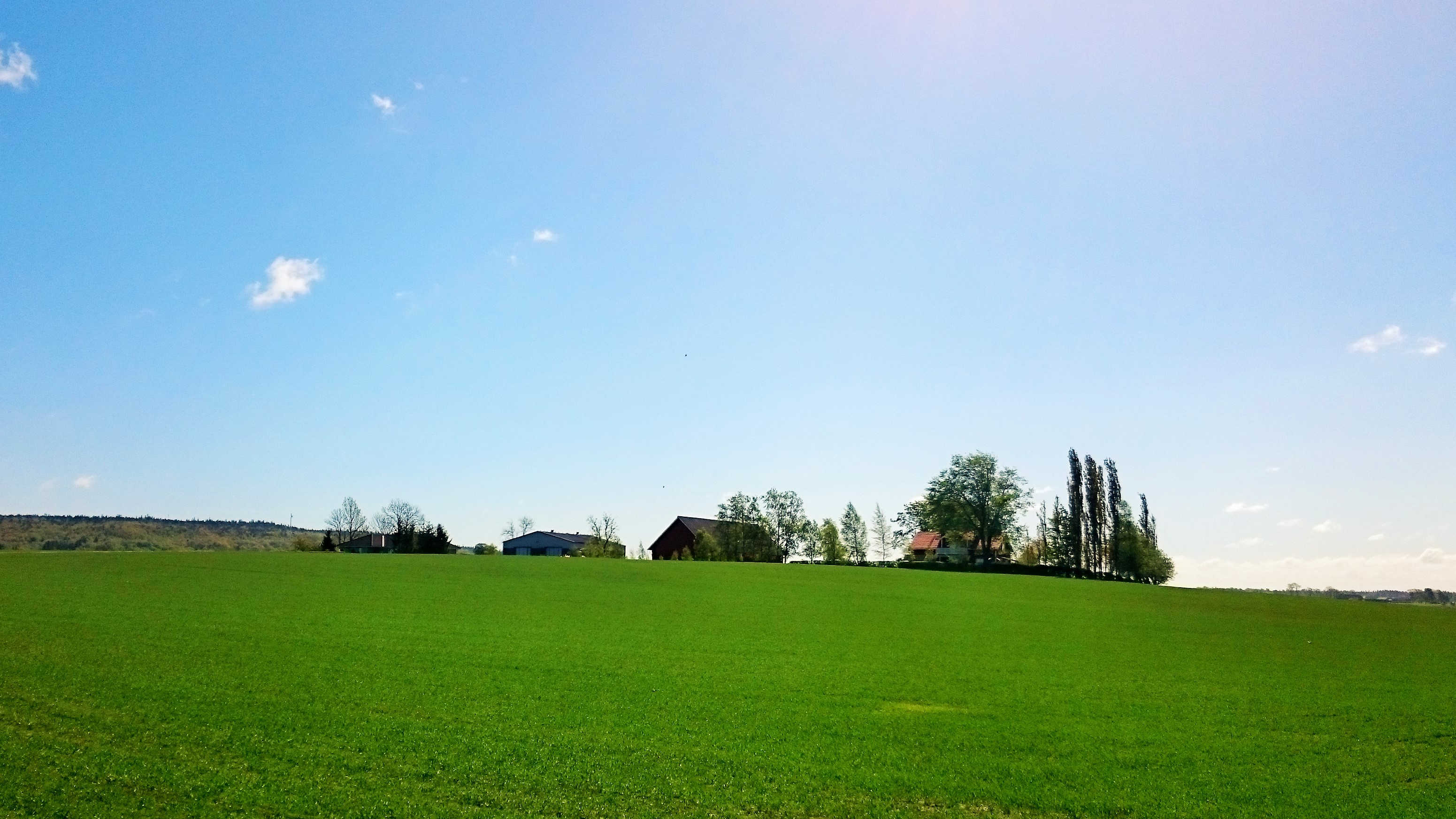 DSC 0171 2 2 dsc-0171-2-2